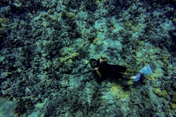 Super-Raft Exclusive Charters | Body Glove Hawaii